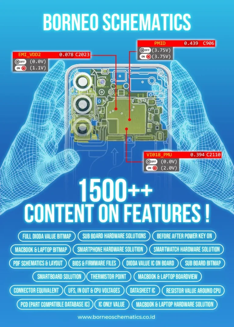 Complete Guide on Borneo Schematics